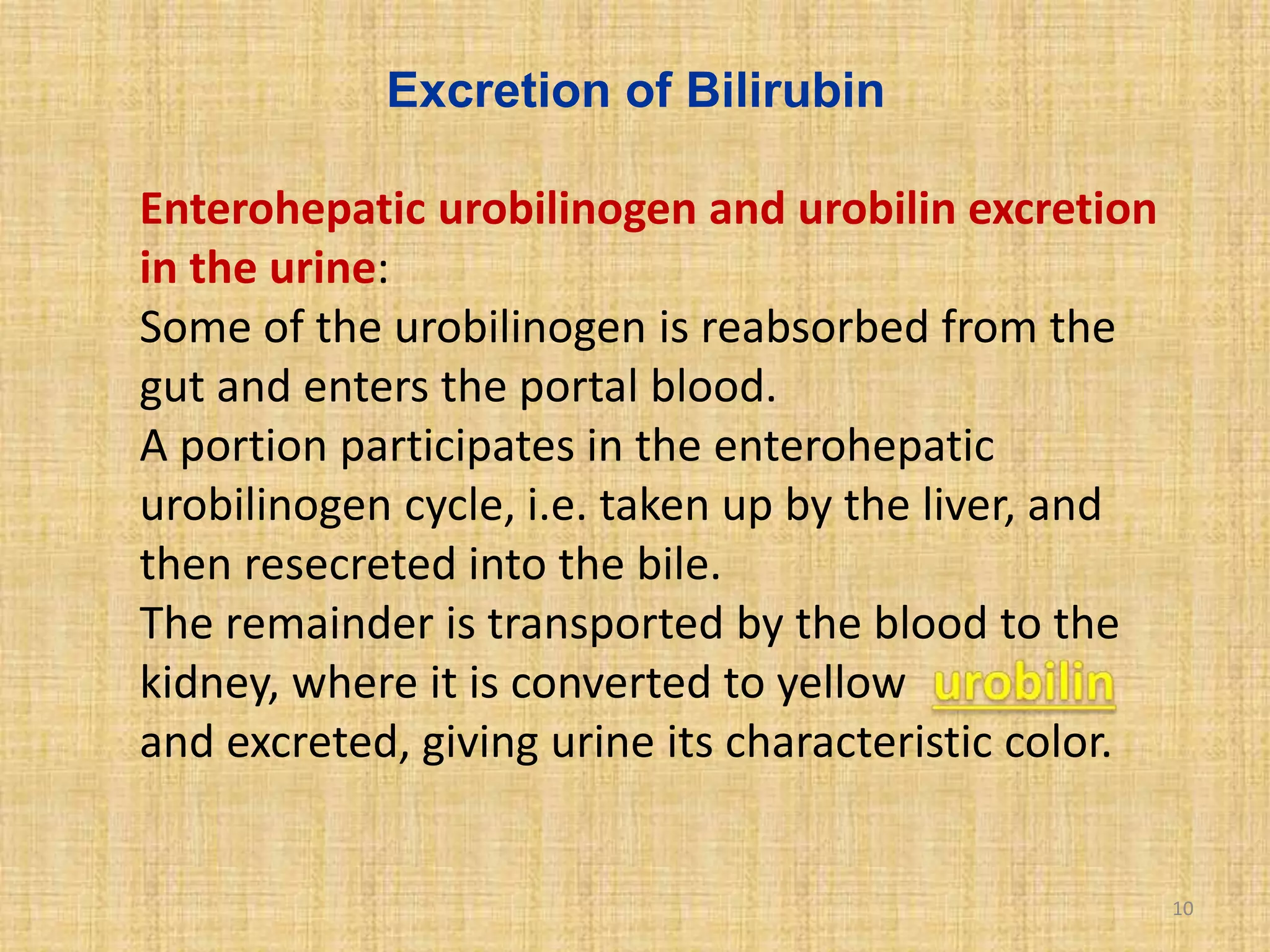 Bilirubin metabolism | PPTX