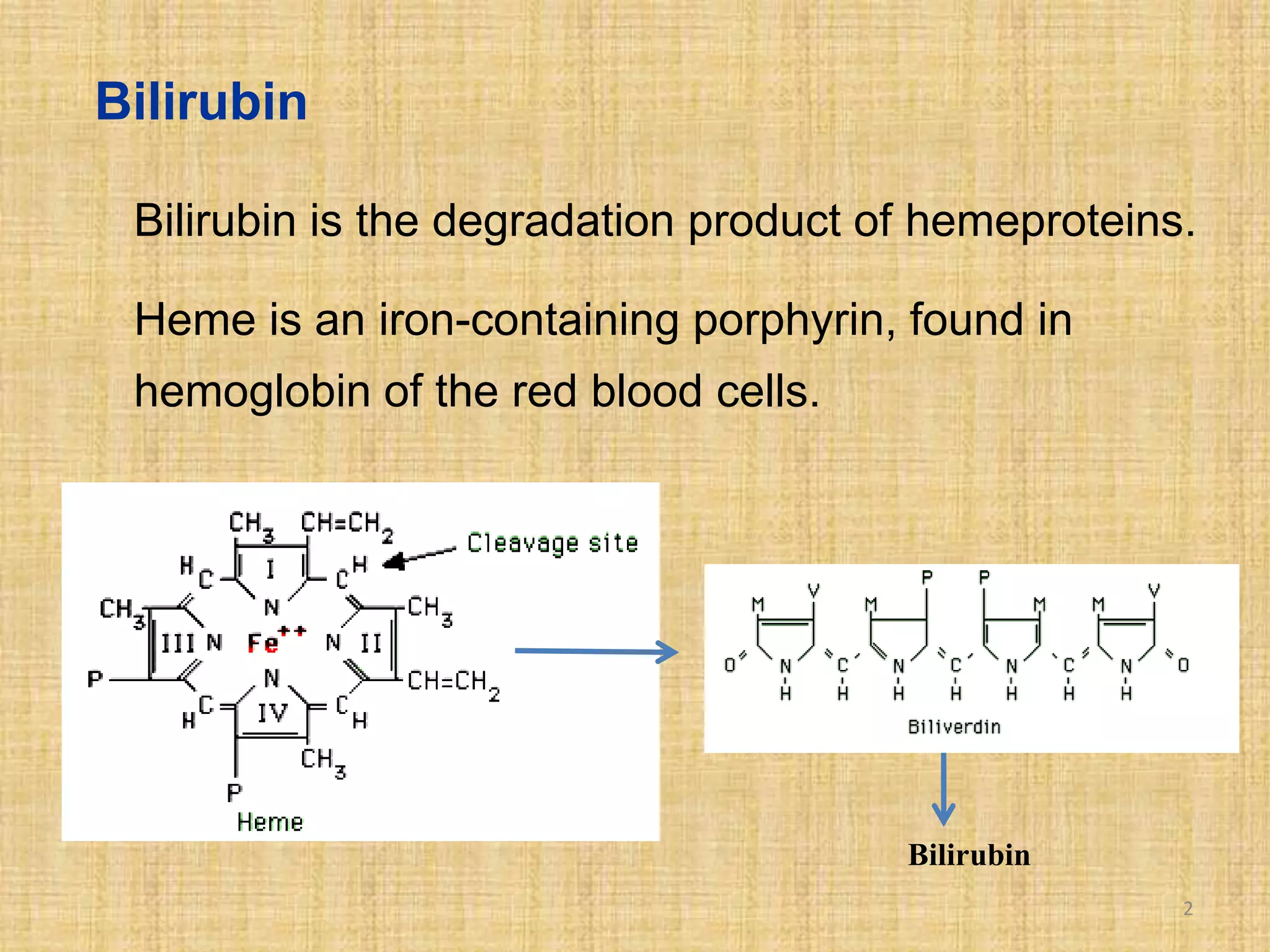Bilirubin metabolism | PPTX