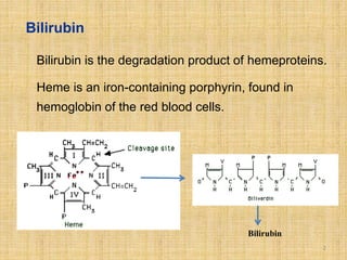 Bilirubin metabolism | PPTX