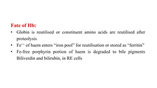 Bilirubin metabolism | PPTX