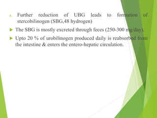 bilirubinmetabolism-21020818252 jaundice7.pptx