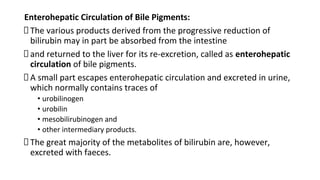 Bilirubin Metabolism in liver and blood.pdf