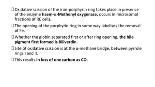 Bilirubin Metabolism in liver and blood.pdf