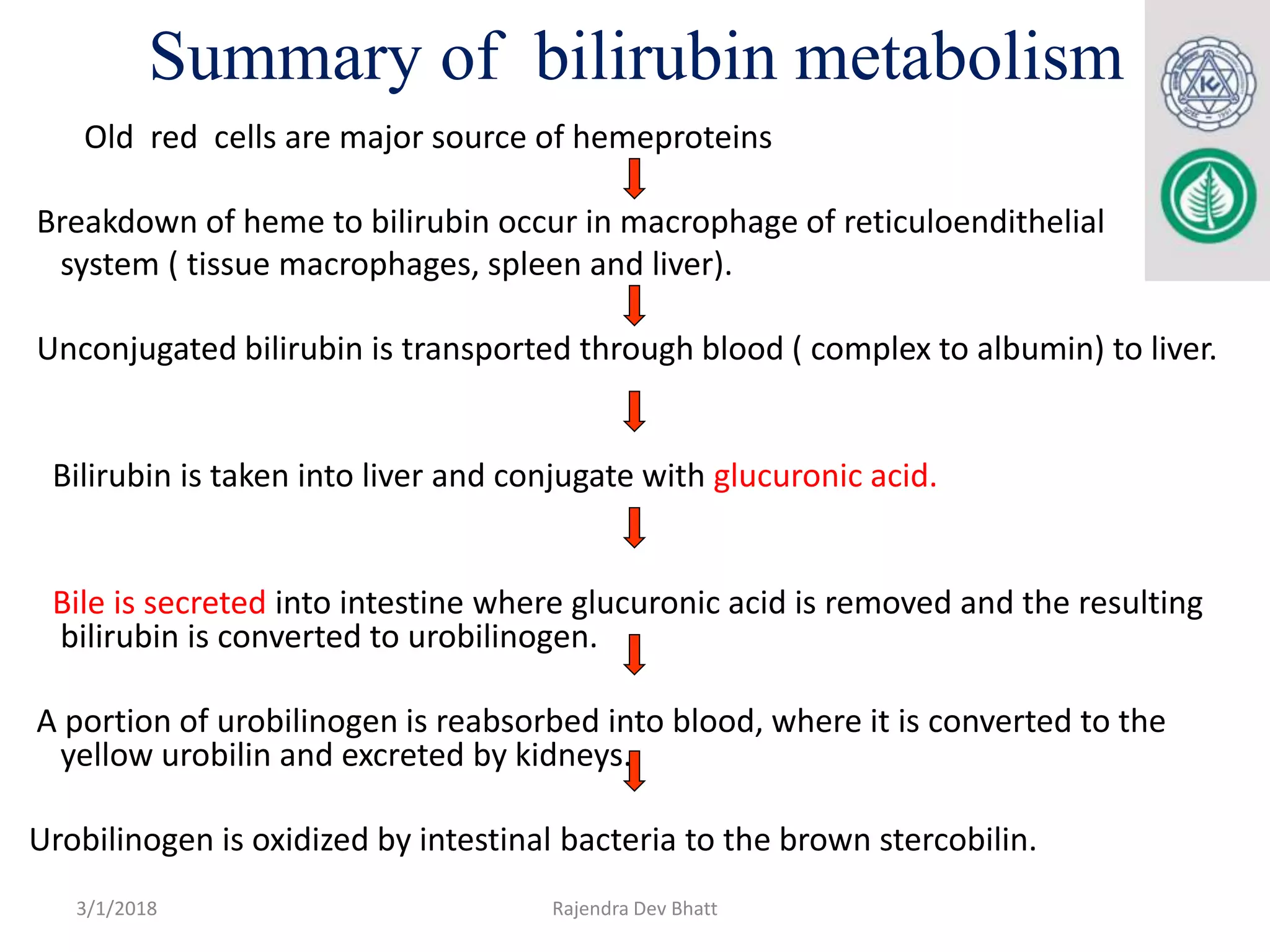 Bilirubin Metabolism Rajendra | PPTX