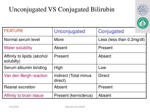 Bilirubin Metabolism Rajendra