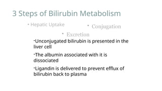 Bilirubin metabolism and hyperbilirubinemia.pptx
