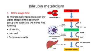 BILIRUBIN METABOLISM AND JAUNDICE(0).pptx