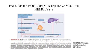 Bilirubin metabolism, Hemolytic anemia-classification and lab diagnosis ...