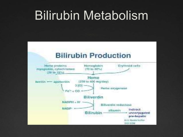 bilirubin_ppt.ppt