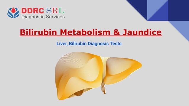 Bilirubin Metabolism & Jaundice | PDF