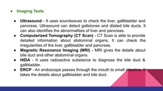 Bilirubin Metabolism & Jaundice | PDF