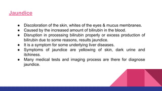 Bilirubin Metabolism & Jaundice | PDF