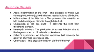 Bilirubin Metabolism & Jaundice | PDF
