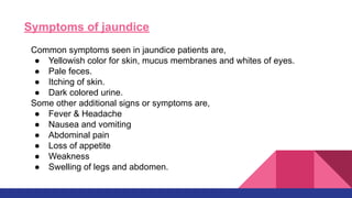 Bilirubin Metabolism & Jaundice | PDF