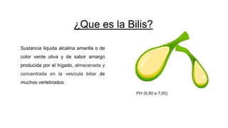 bilis fisiologia hepatica biotransformacion | PPTX