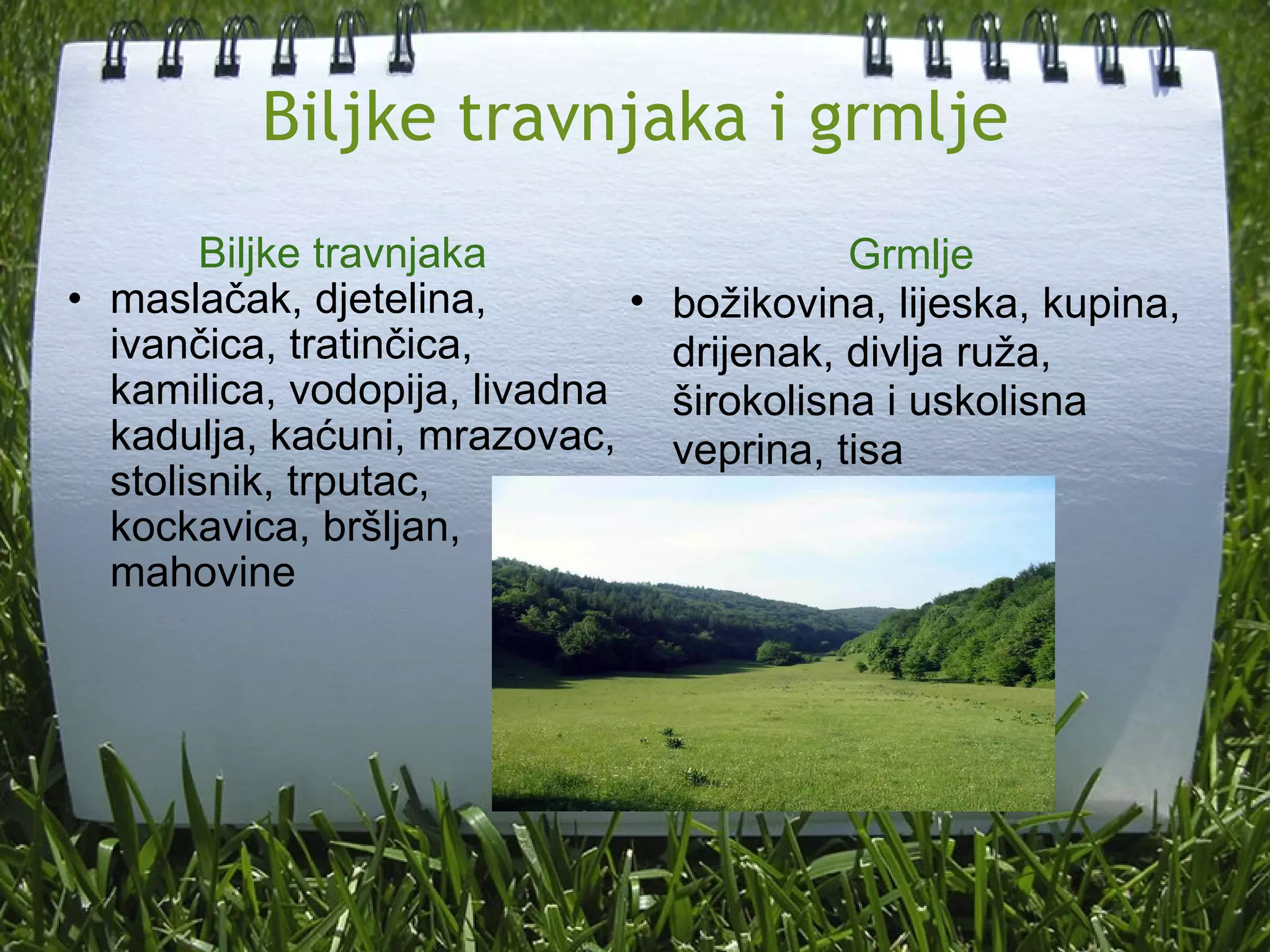Biologija - Biljke | PPT