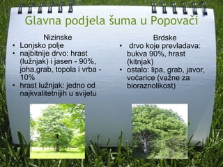 Biologija - Biljke | PPT