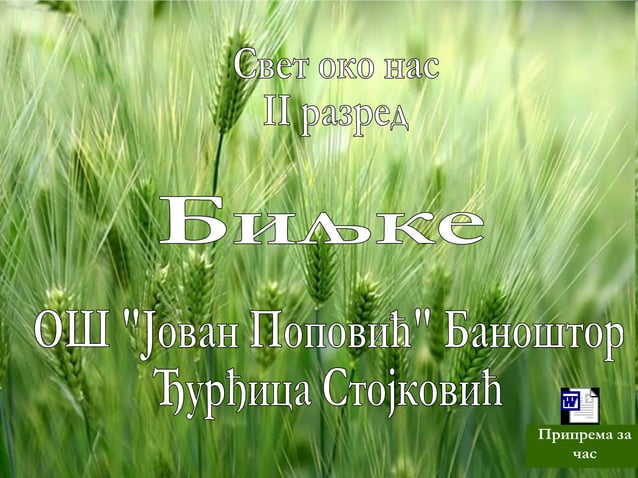 Biljke gradja i zivotni ciklus | PPT