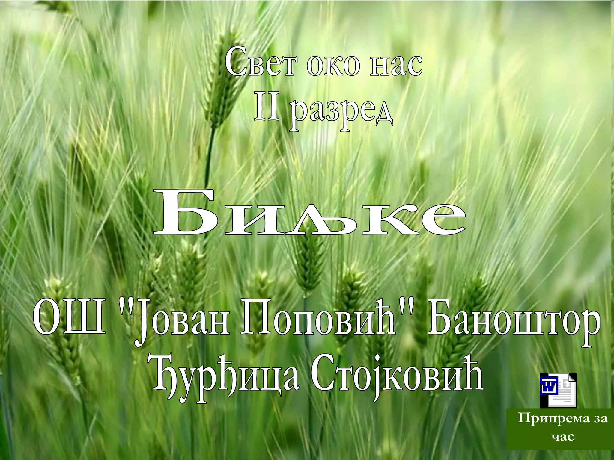 Biljke - građa i životni ciklus - Đurđica Stojković | PPT