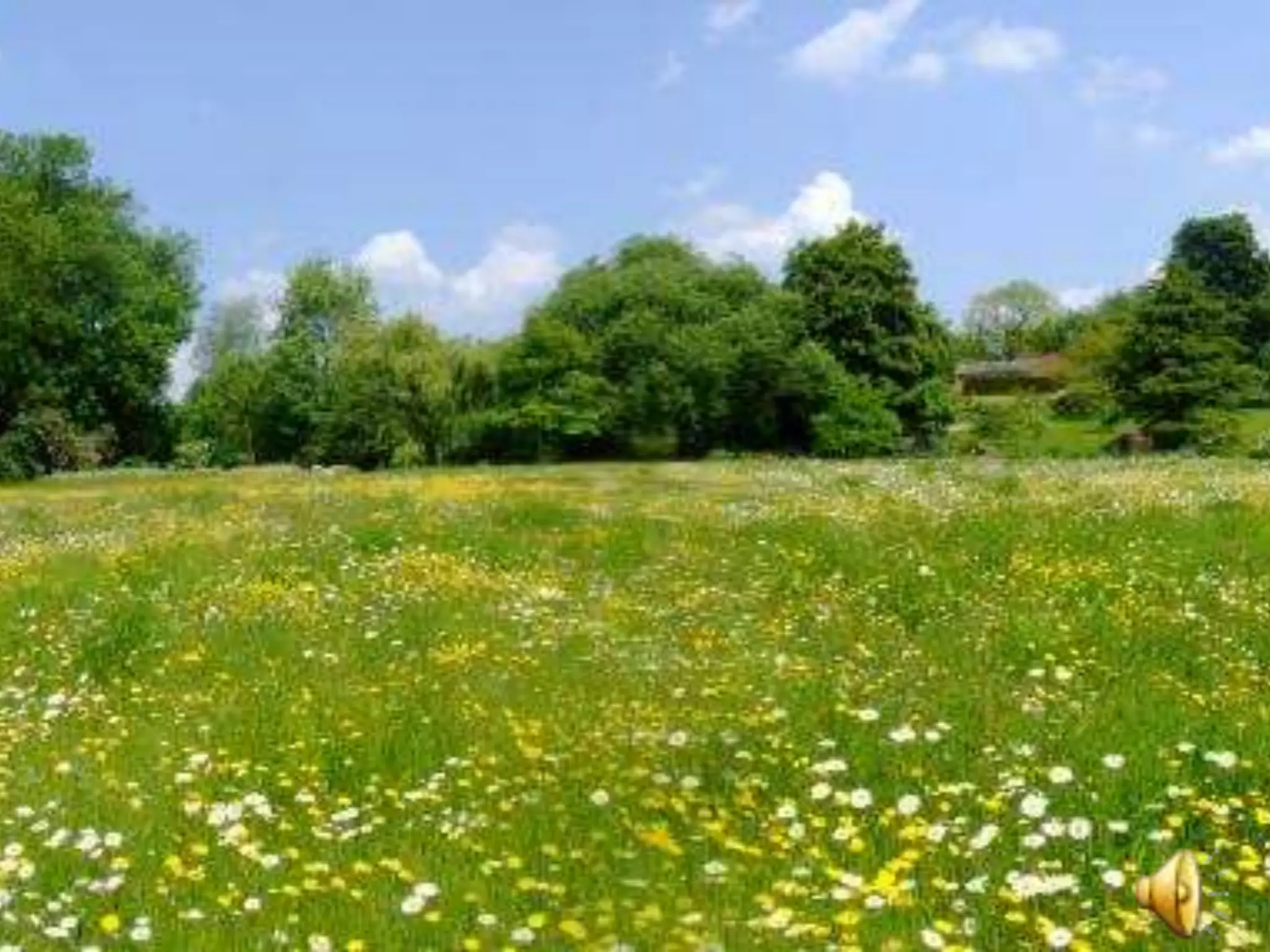 Biljke i životinje naših livada | PPTX