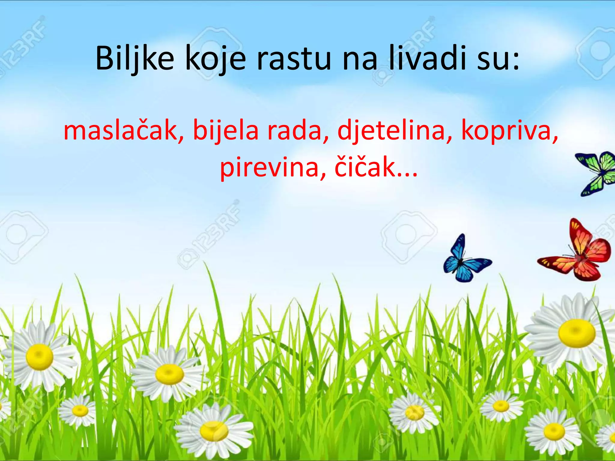 Biljke i životinje naših livada | PPTX