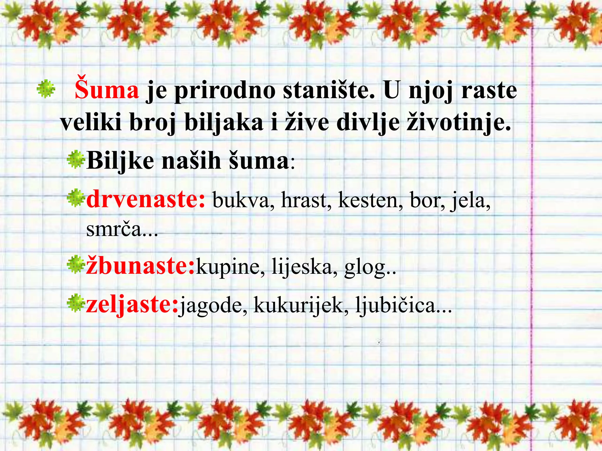 Biljke i životinje naših šuma | PPTX