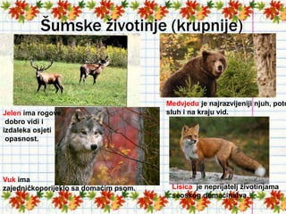 Biljke i životinje naših šuma | PPTX
