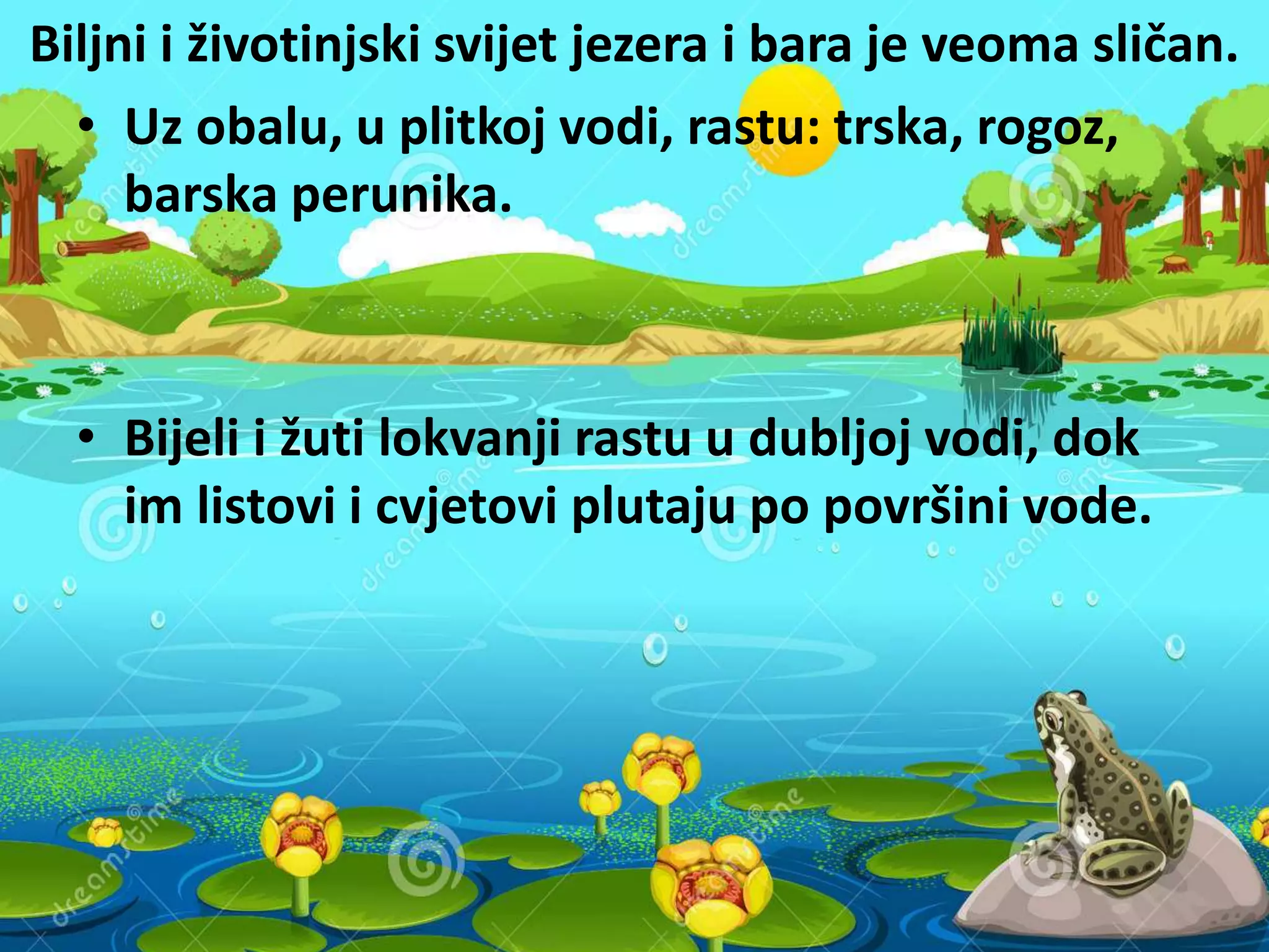 Biljke i životinje naših voda | PPTX