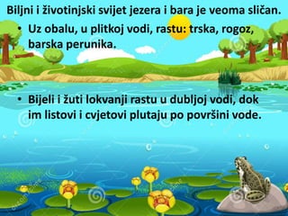 Biljke i životinje naših voda | PPTX