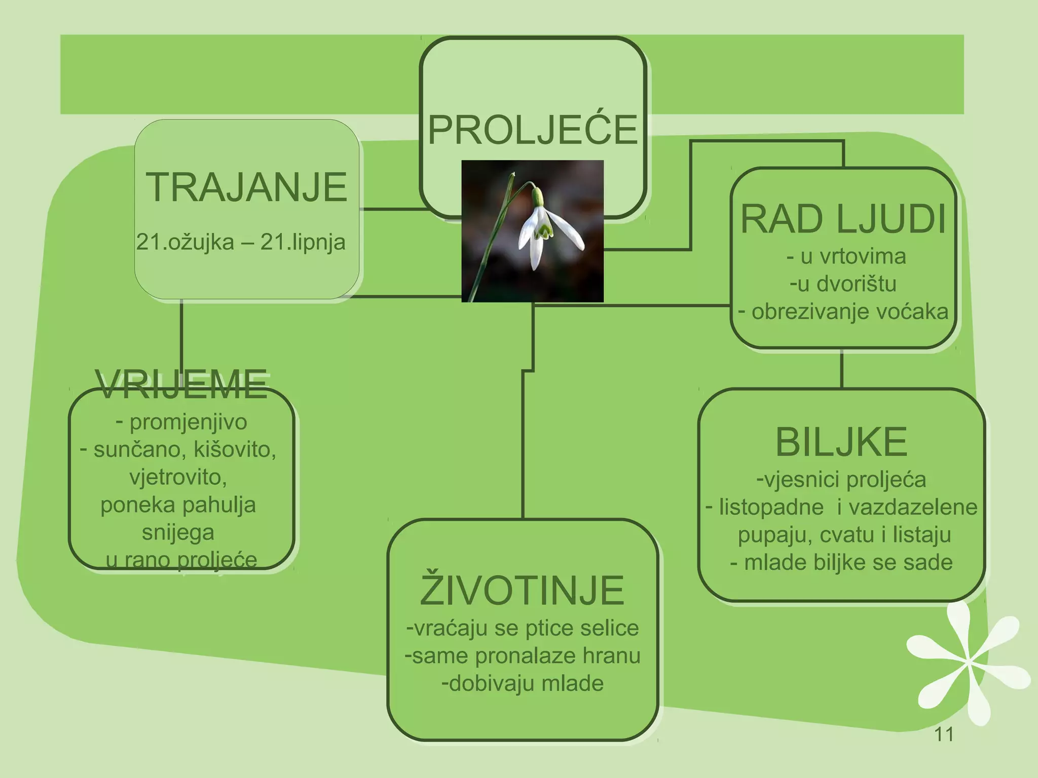 Biljke zivotinjeljudu proljece1mb2rsanny | PPT