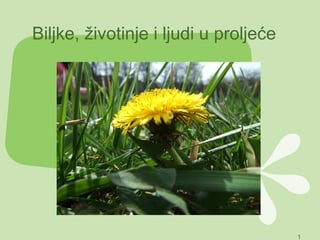 Biljke zivotinjeljudu proljece1mb2rsanny | PPT