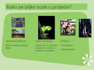 Biljke zivotinjeljudu proljece1mb2rsanny | PPT