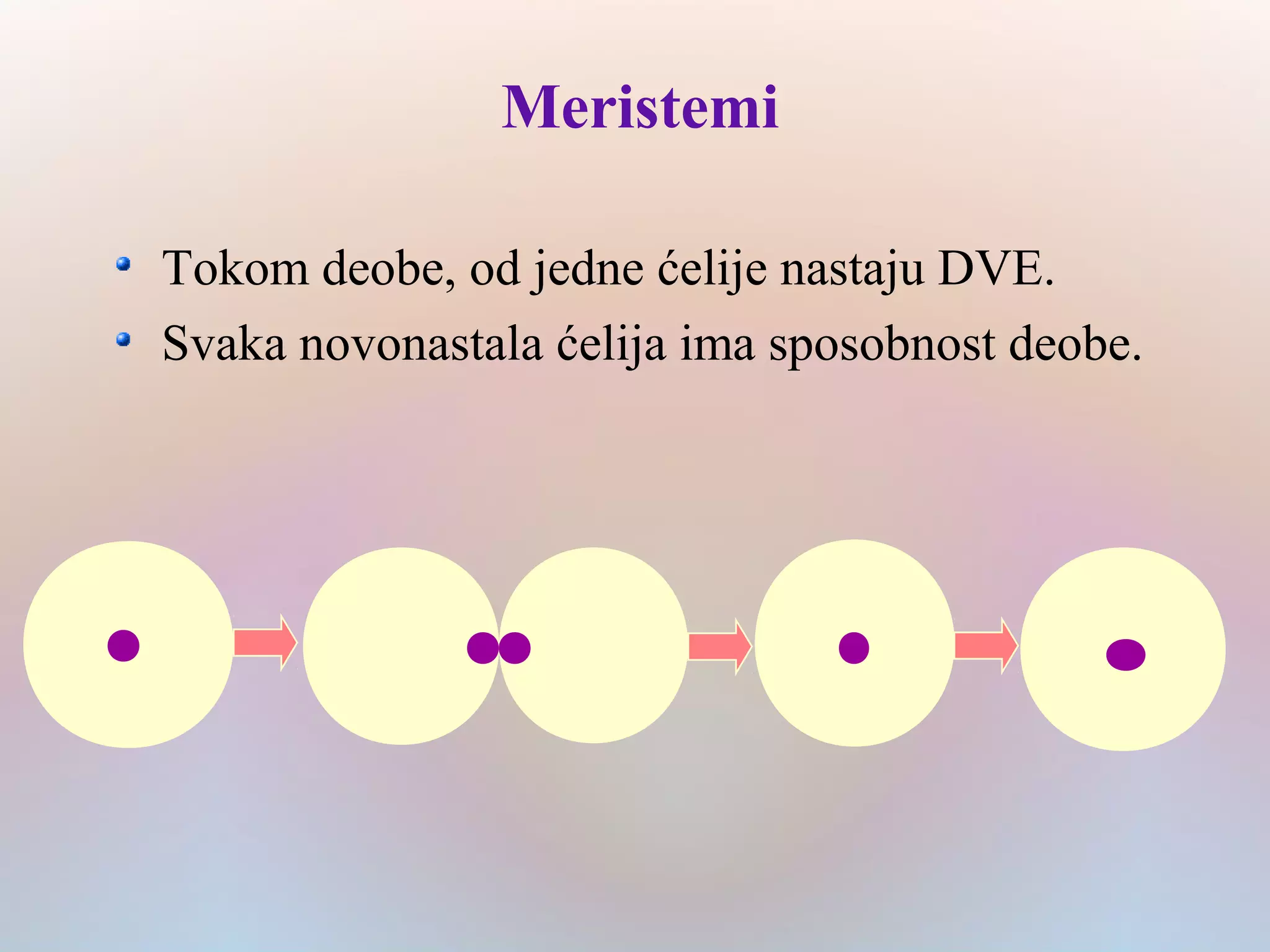 Biljna tkiva | PPT