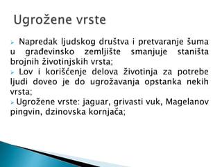 Biljne i zivotinjske vrste | PPTX