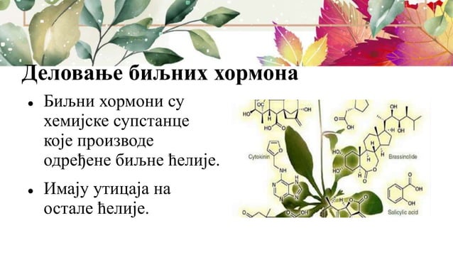 Biljni hormoni.ppt
