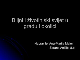Biljni i životinjski svijet u gradu i okolici | PPT