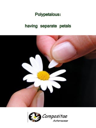 Binomial Nomenclature | PDF