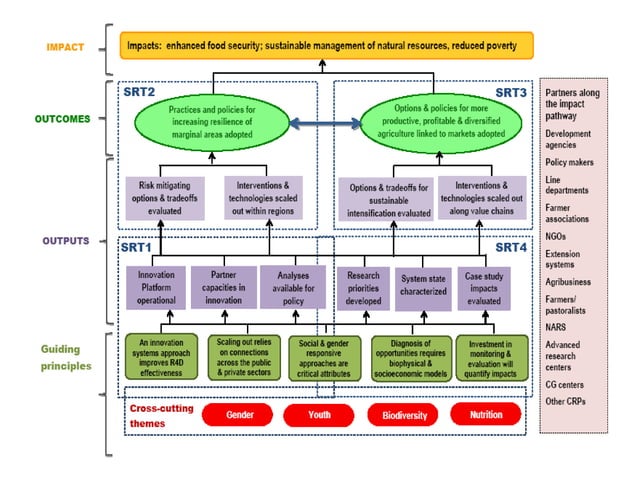Highlights of the CRO on Dryland Systems | PPT