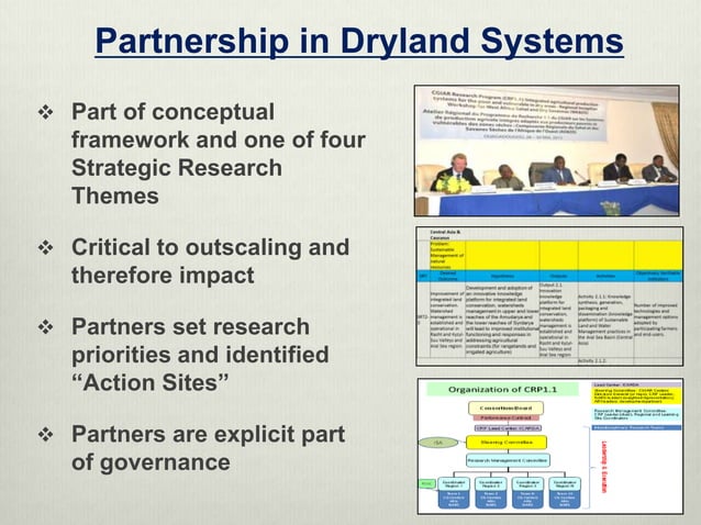 Highlights of the CRO on Dryland Systems | PPT