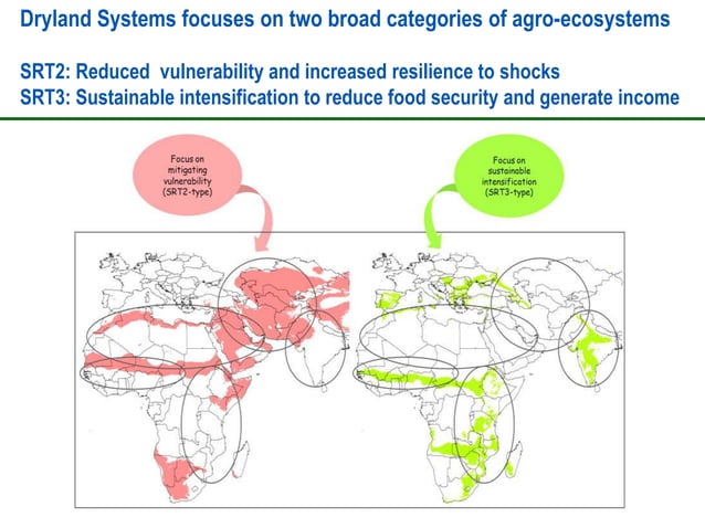 Highlights of the CRO on Dryland Systems | PPT