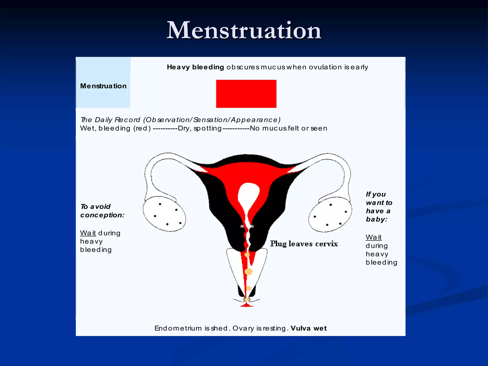 Billings Ovulation Method.ppt