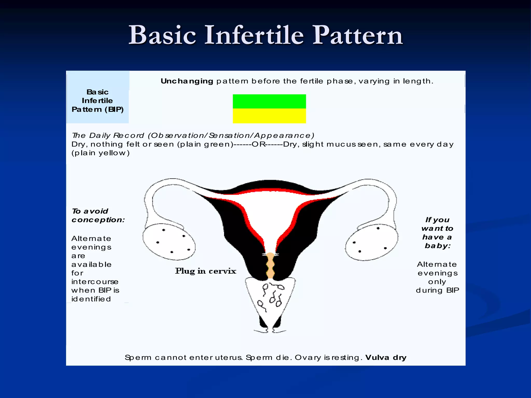 Billings Ovulation Method.ppt