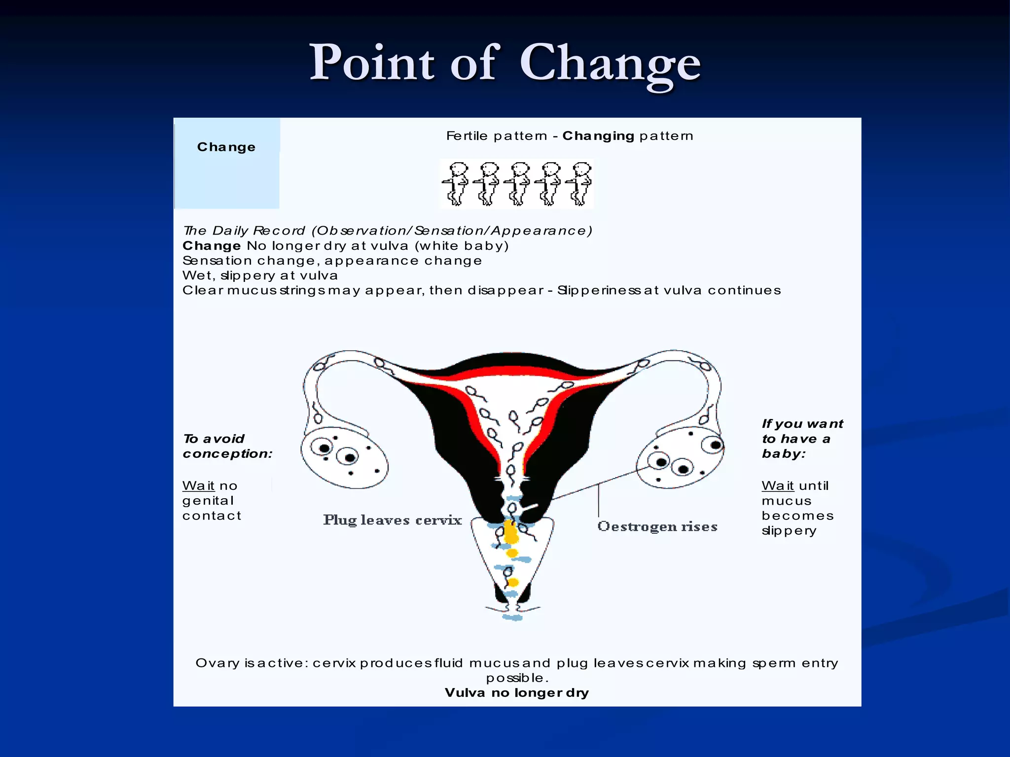 Billings Ovulation Method.ppt