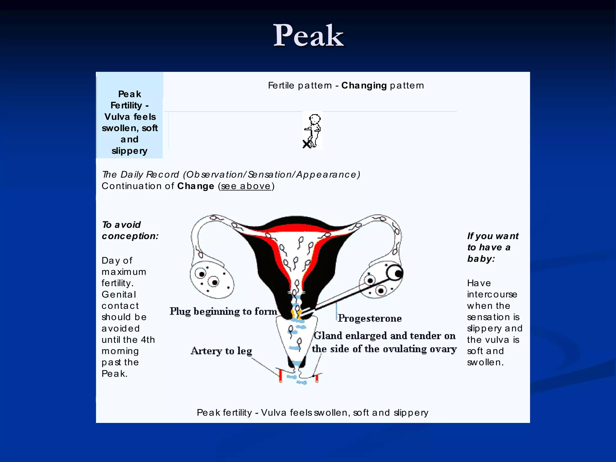 Billings Ovulation Method.ppt