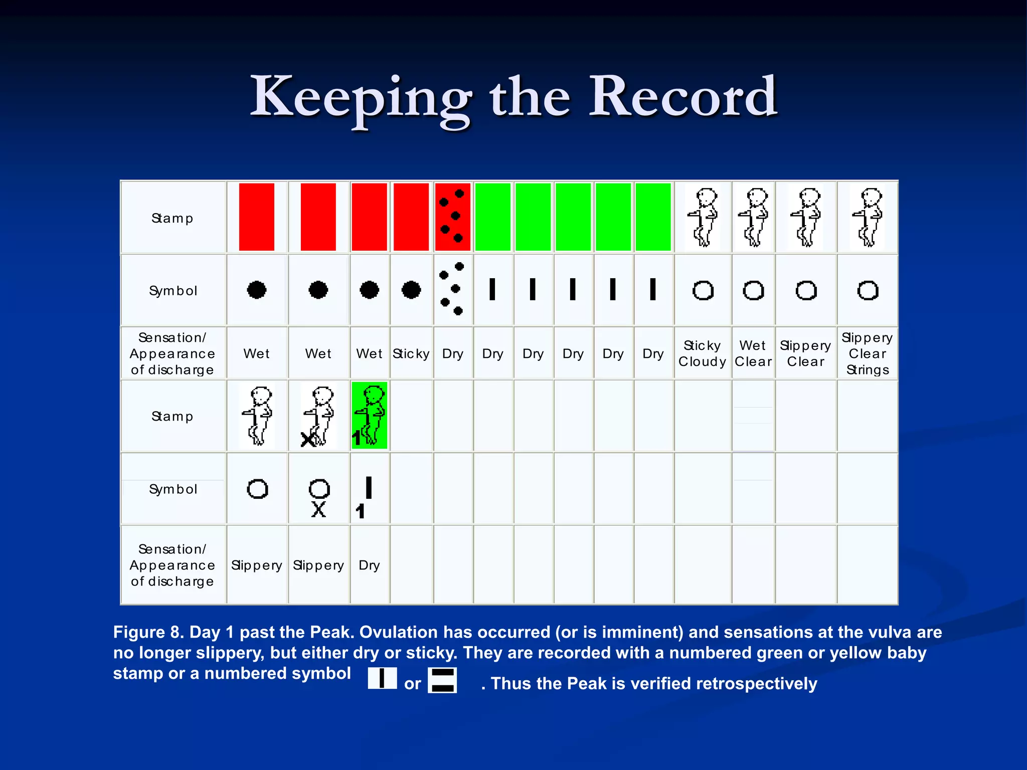 Billings Ovulation Method.ppt