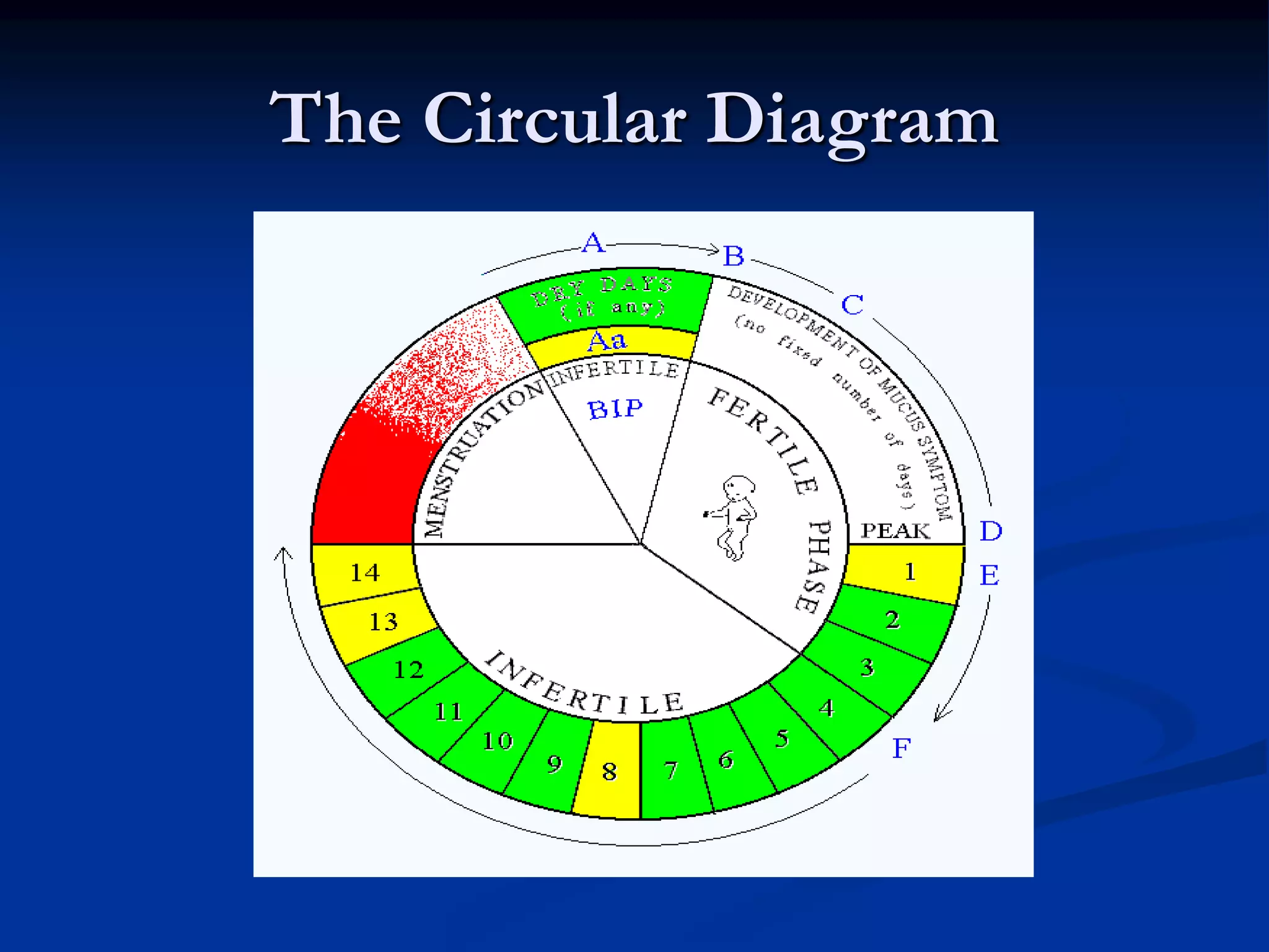 Billings Ovulation Method.ppt