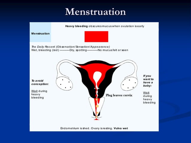 Billings Ovulation Method.ppt