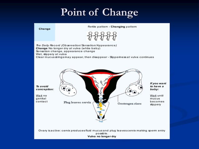 Billings Ovulation Method.ppt