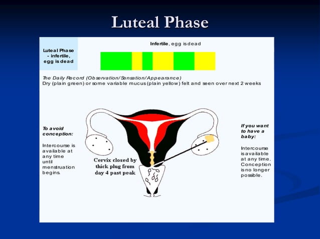 Billings Ovulation Method.ppt