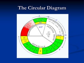 Billings Ovulation Method.ppt
